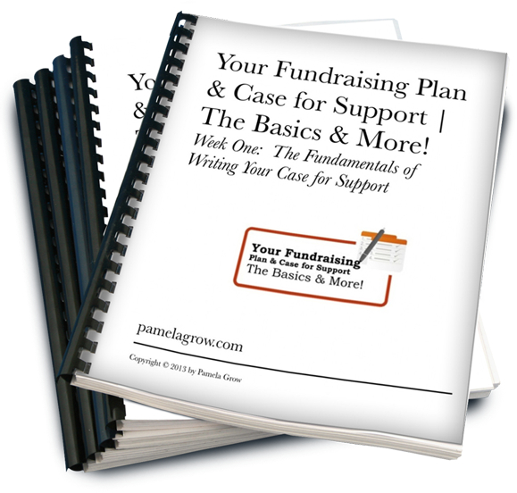 Your Fundraising Plan & Case for Support | The Basics & More! | Pamela Grow