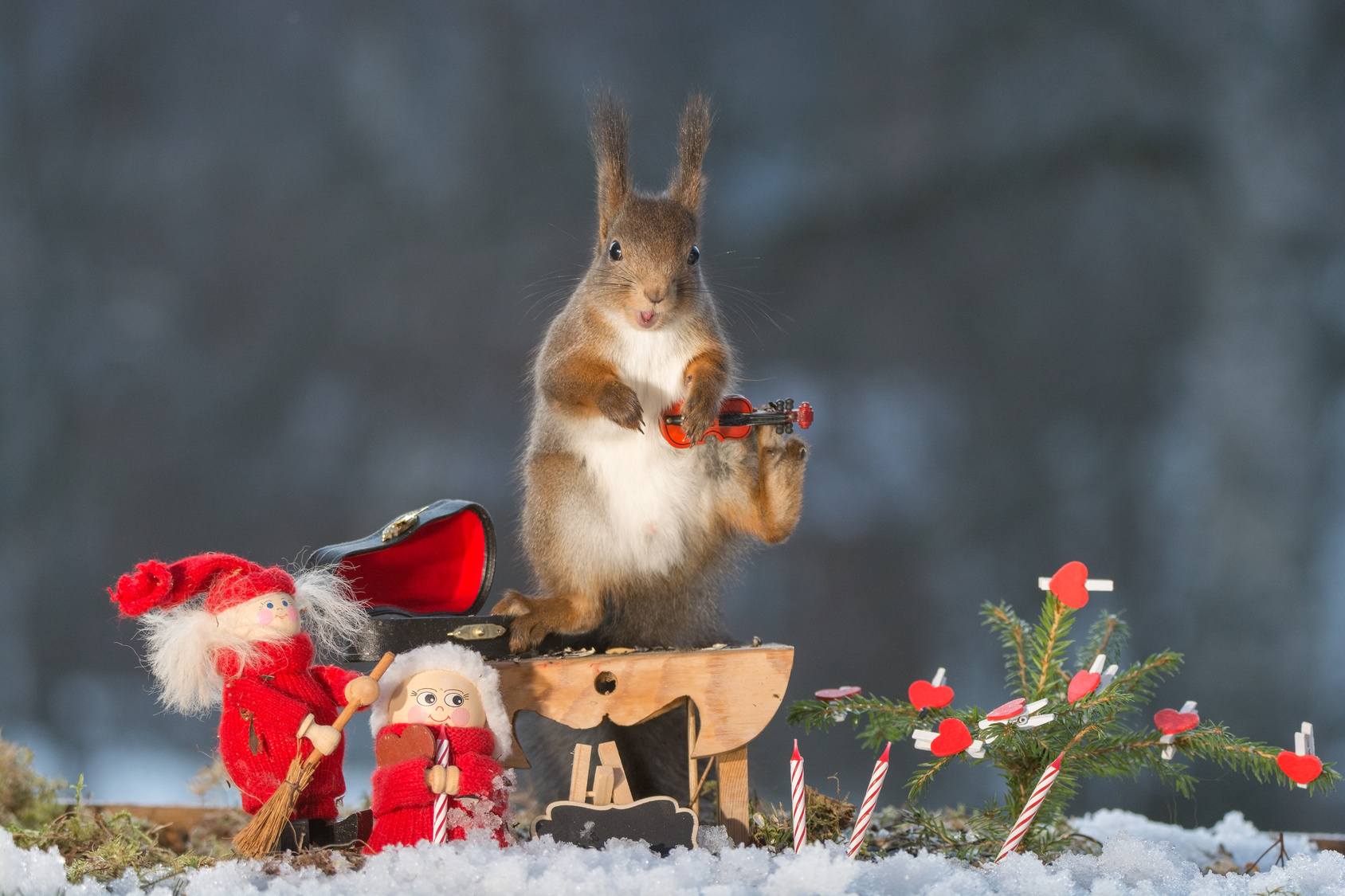 Have you gotten "used to the squirrels" in your organization? | Pamela Grow