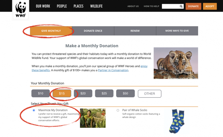 What's in My Inbox | The anatomy of a successful donate page | Pamela Grow